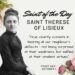 FEAST OF SAINT THÉRÈSE OF LISIEUX, LITTLE FLOWER, OF THE CHILD JESUS ...